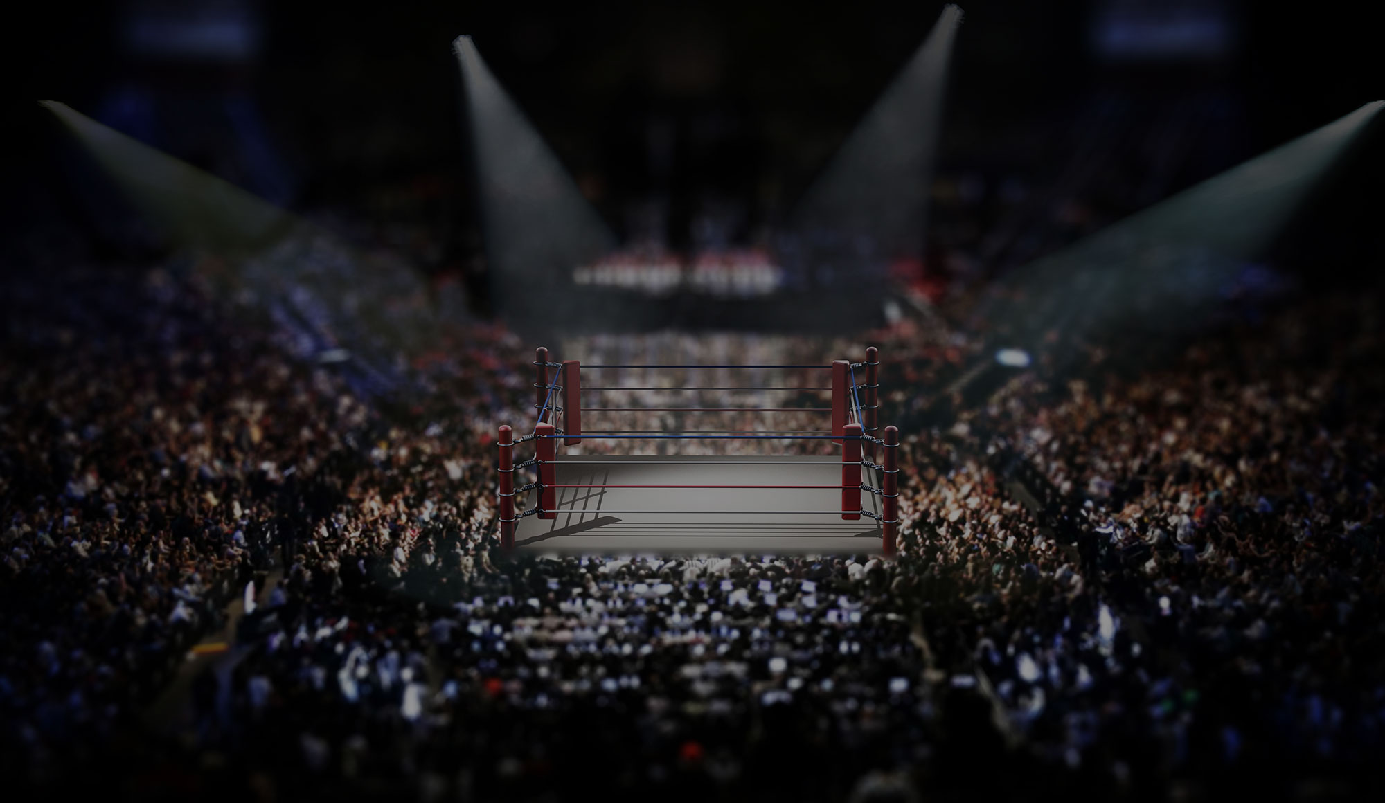 Boxing-header | First for Hospitality